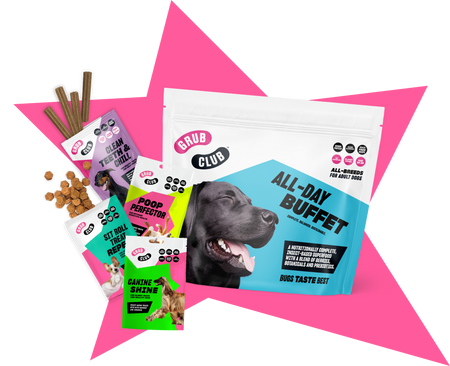 Insect Based Dog Food & Treats | Hypoallergenic – Grub Club Pets