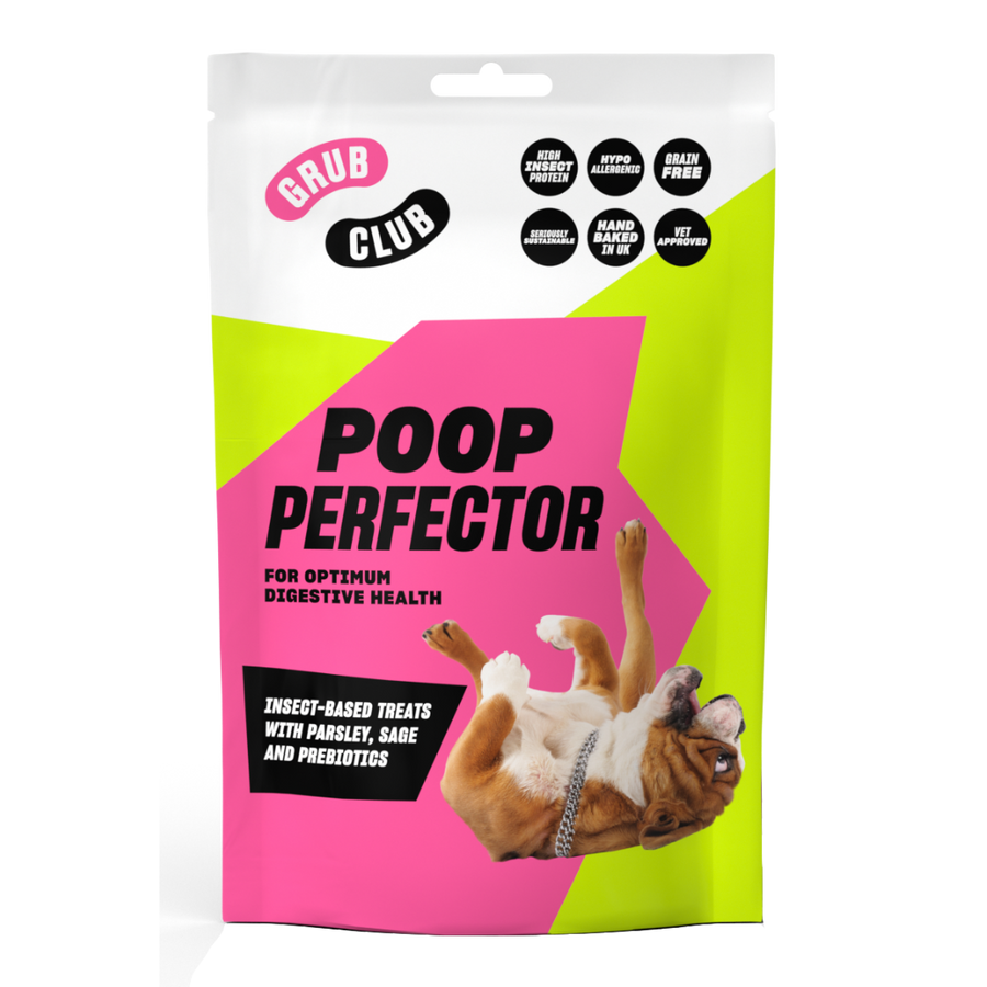 Grub Club Pets | Vet Approved Insect Dog Food UK