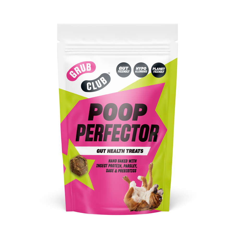Grub Club Pets | Vet Approved Insect Dog Food UK