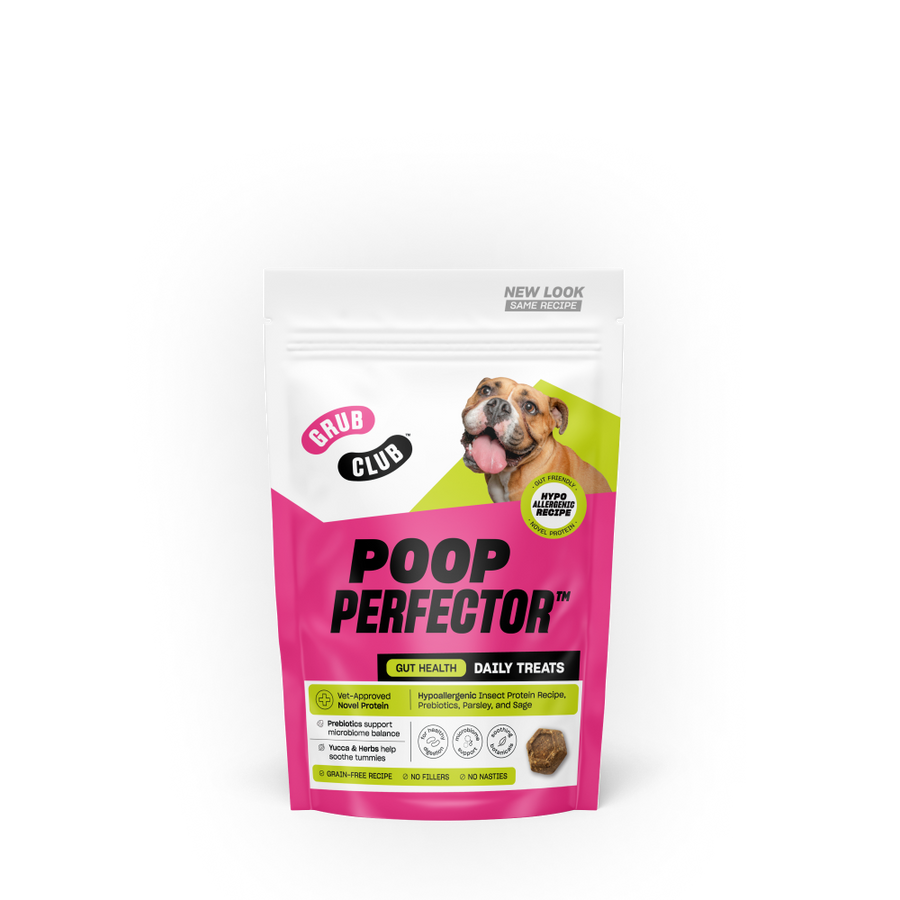 Grub Club Pets | Vet Approved Insect Dog Food UK