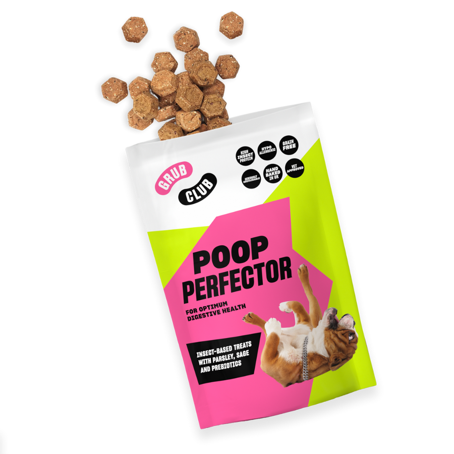 Poop Perfector | Prebiotic Digestive Health Dog Treats – Grub Club Pets
