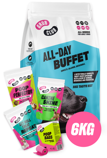 Insect Based Dog Food & Treats | Hypoallergenic – Grub Club Pets