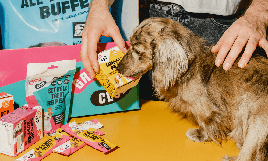 Grub Club Pets | Vet Approved Insect Dog Food UK