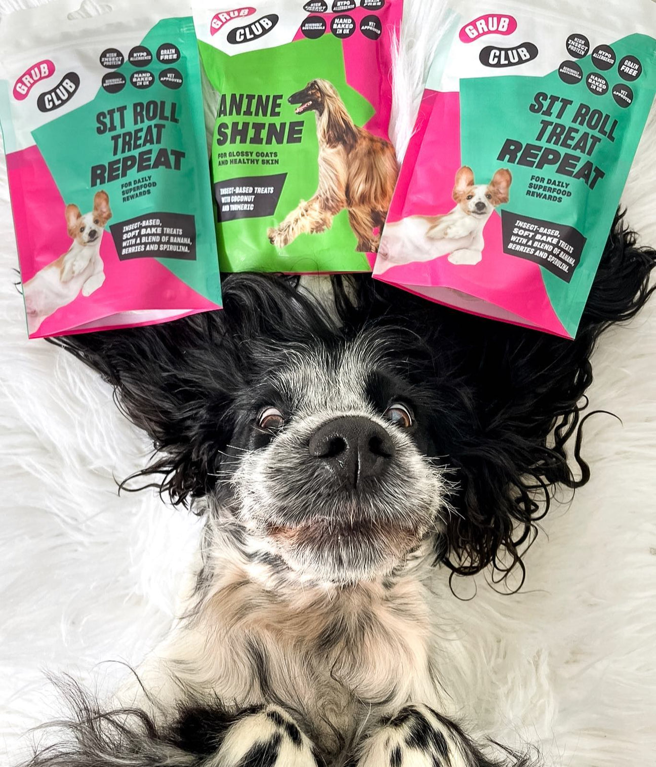 Grub Club Pets | Vet Approved Insect Dog Food UK