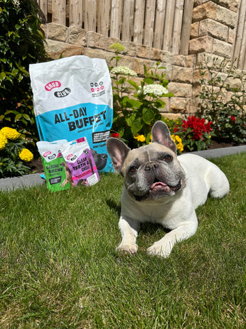 Grub Club Pets | Vet Approved Insect Dog Food UK